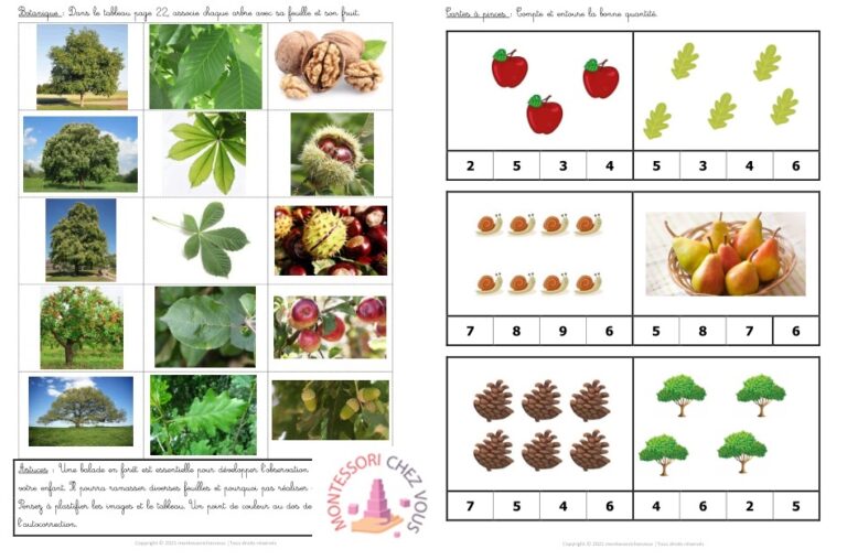 Mon cahier d'activités - Automne imprimé et plastifié - Montessori ...