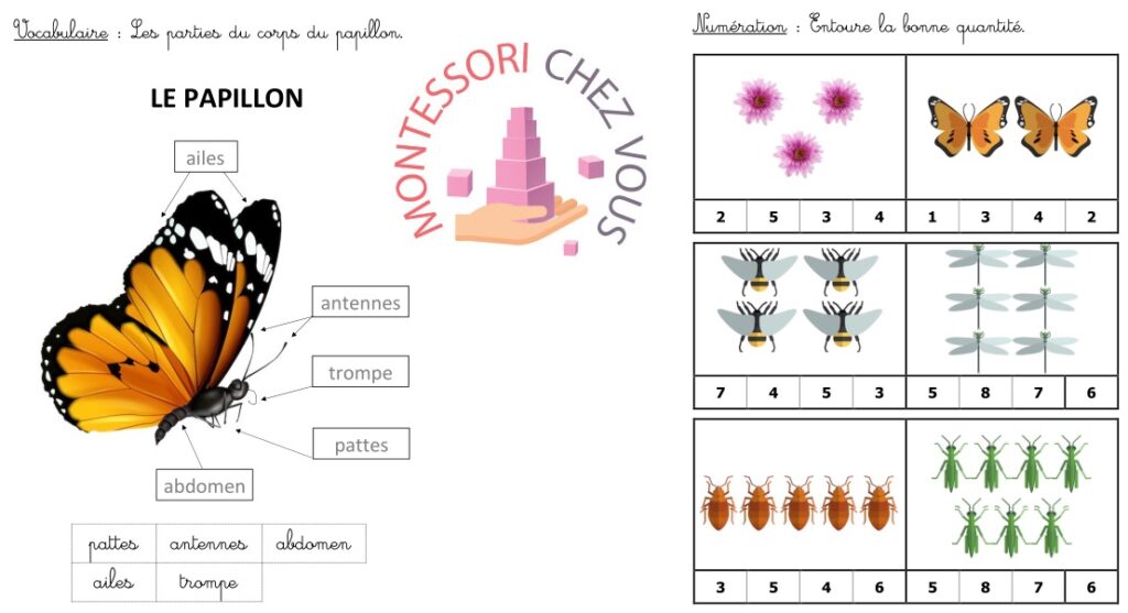 Mon cahier d'activités - Printemps - Montessori Location et Achat